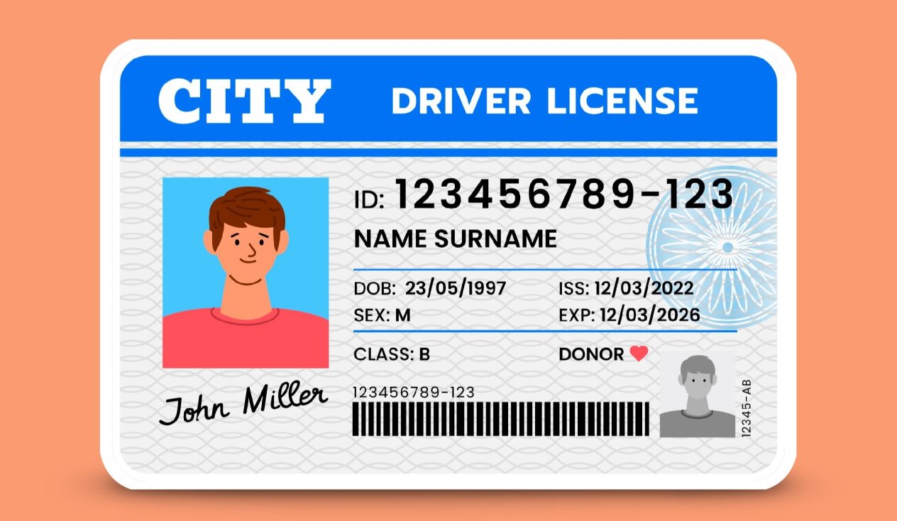 Licencia tipo B: qué es y para qué sirve ¡Alucinarás!